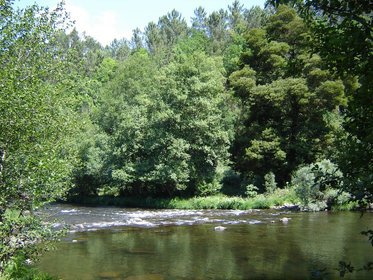 Várzea River Beach - Rota do Românico