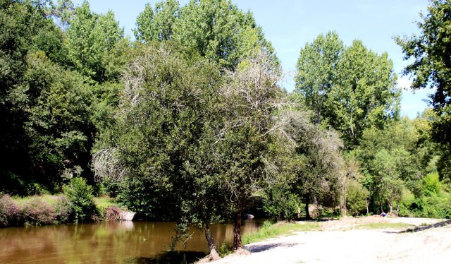 Pontinha River and Leisure Area - Rota do Românico